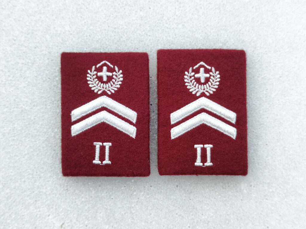 Schulterpatten (03) Feldweibel Grenzwachtregion II Set - SwissMilitaria.ch