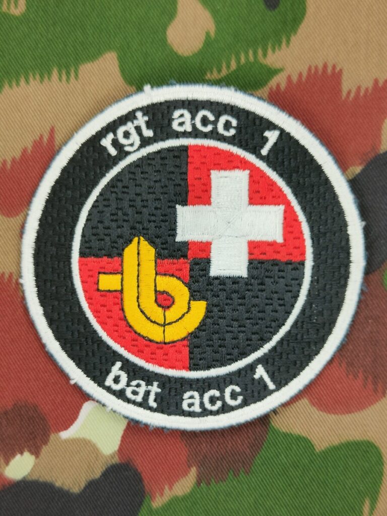 Verbandsabzeichen Inf Bat 31 Kp 2 - SwissMilitaria.ch